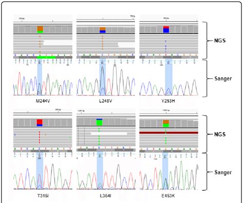 Ten Of Random NGS Results Were Analyzed With Sanger Sequencer AB3130 Download Scientific