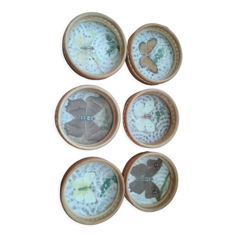 Lot De 6 Dessous De Verre Vintage Années 60 Beige Bois Floralvégétal