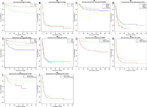 Figure 3 From Prognostic Factors And Nomogram Prediction Of Survival