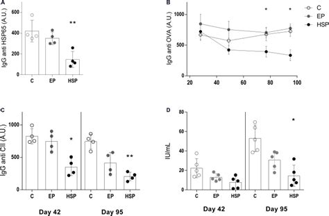 Hsp65 Producing Lactococcocus Lactis Prevents Antigen Induced Arthritis