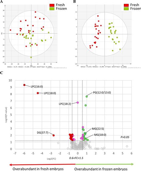 A Principal Component Analysis Pca Plot Representing Variance Among