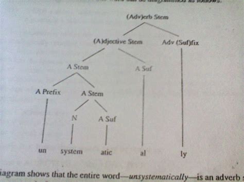 Rules Of Word Formation