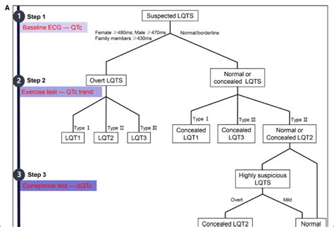 Diagnostic Workflow Of Lqts A Diagnostic Workflow Of Lqts B Type Ⅰ Download Scientific