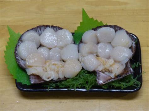 アカザラガイ ～赤皿貝・アカサラガイ～ 船橋市場 （船橋市地方卸売市場）