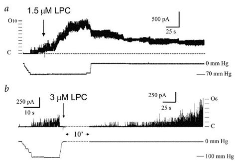 Stabilization Of Open Mscl With Mixtures Of Pc−lpcthe Activation Of
