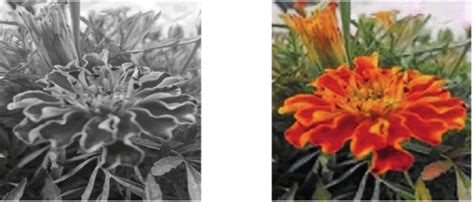 Applications Of Generative Models Baeldung On Computer Science