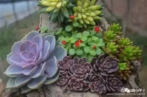 正能量分享珠海易辦科技 iFuun