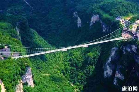 张家界玻璃桥大峡谷路线介绍及购票攻略 旅游资讯 旅游攻略