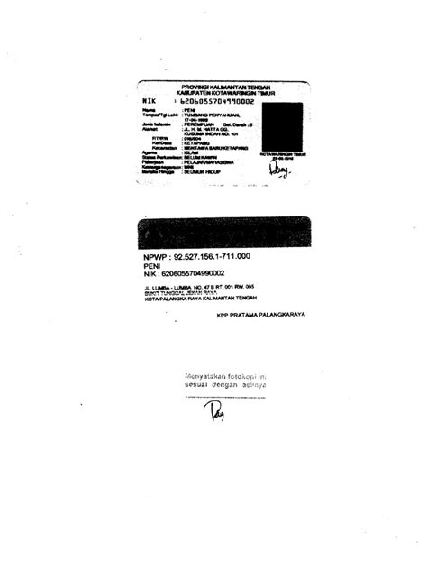 Contoh Npwp Peni Pdf