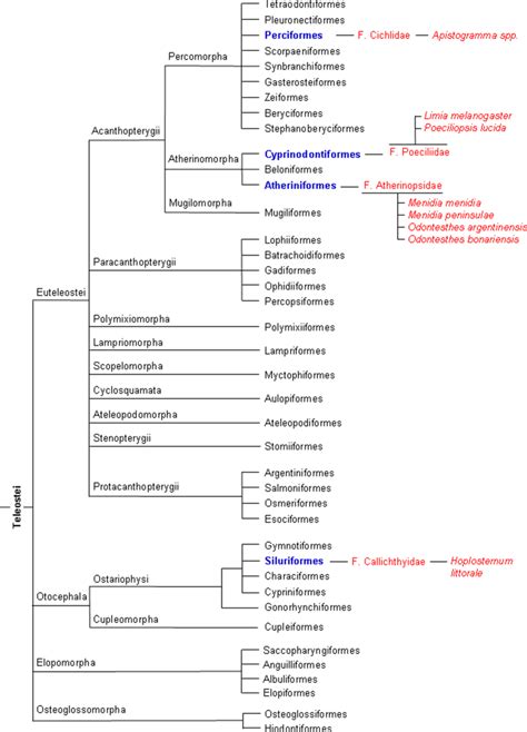 Distribution Of Temperature Dependent Sex Determination TSD In Download Scientific Diagram