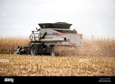 Rear View Of Gleaner Combine Harvesting Corn On A Farm In Blooming