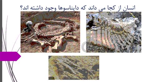 پاورپوینت علوم تجربی پنجم دبستان فسیل چگونه به وجود می‌آید؟ گاما