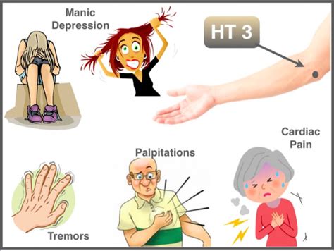 All About The Tcm Heart Acupro Academy Acupuncture Acupressure