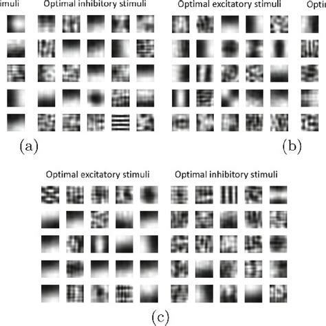 Visualization Of Learnt Slow Feature Functionsa The Slow Feature