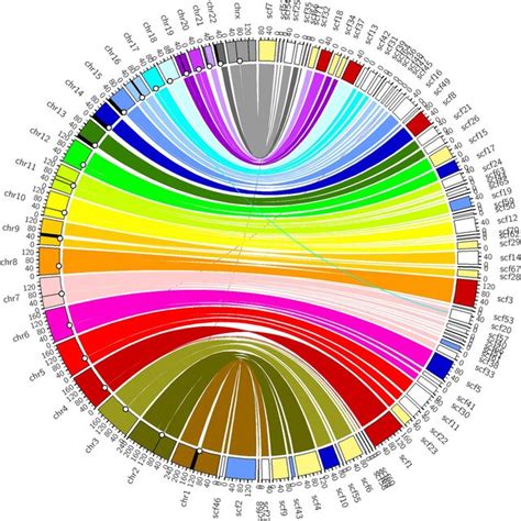 Schematic Diagram Of Study Design Sequencing Data From Five Different Schematic Diagram Of Study Design Sequencing Data From Five Different
