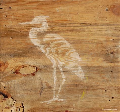 Bleach Bird A Day Art