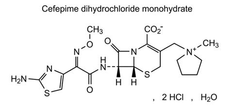 7 Cefepime Stock Vectors And Vector Art Shutterstock