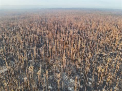 Бригади «Азов і «Буревій просунулися у Серебрянському лісництві на кілометр вглиб Новини