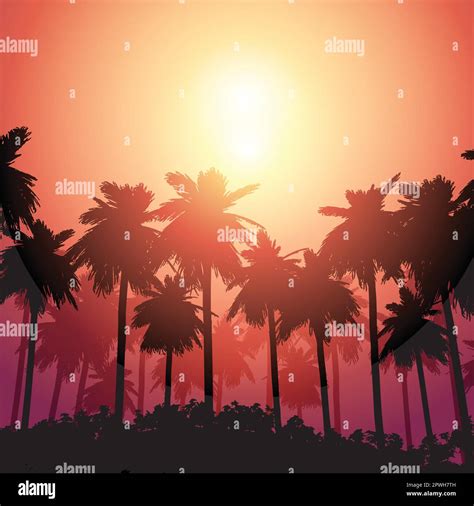 Tree Silhouette Against Sunset Stock Vector Images Alamy