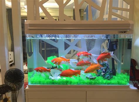 上海亚克力鱼缸定制 大型水族箱造景 工程鱼缸定做 水族馆设计 行业新闻 亚克力加工 上海伦易亚克力制品公司亚克力制作有机玻璃加工厂家