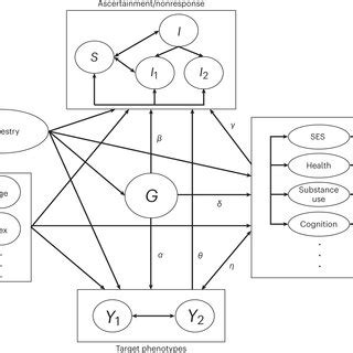 Directed Acyclic Graph DAG Of Potential Influences Linking Download Scientific Diagram