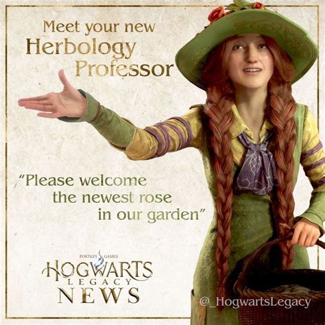 Pin De Raw En Hogwarts Legacy