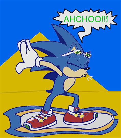 If Sonic Has Sneeze Sence In Sonic Riders By Sneezergirl On Deviantart