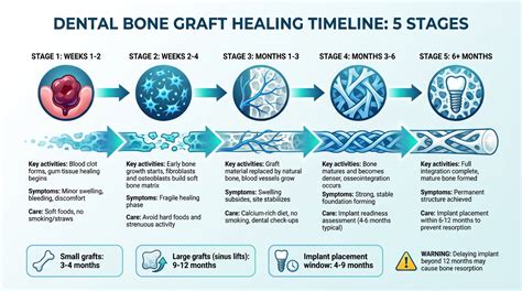 Bone Graft Healing Stages Explained Complete Smiles