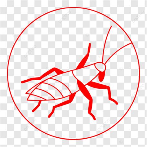 Green Grasshopper Illustration For Posters Vector Grasshopper Insect Nature Png And Vector