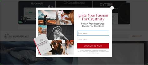 20 Popup Design Examples For Websites That Convert — Claspo —