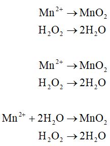 Answered Mn H O MnO H O Separate The Bartleby