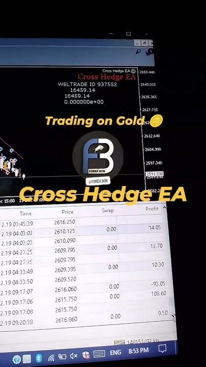 Cross Hedge Ea 100 Win Strategy Gold Trading Ea Ytshorts Forex