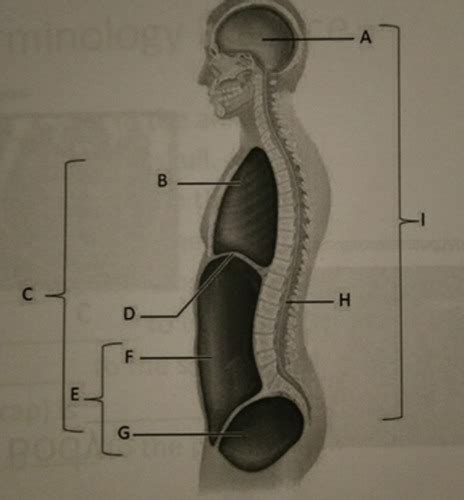 Bio 107 Lecture Mod 1 Flashcards Quizlet