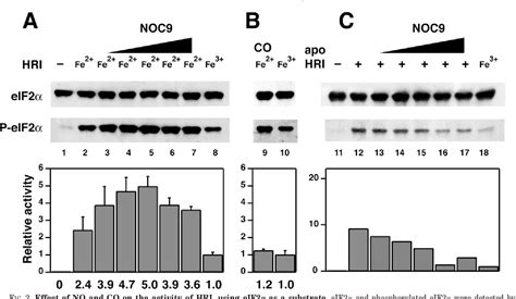 Figure 2 From Activation Of Heme Regulated Eukaryotic Initiation Factor