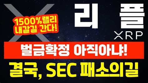 리플 Xrp 벌금 확정 아직 아냐 결국 Sec의 패소의 길로 영상 꼭 확인하세요 Youtube