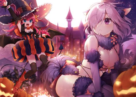 Mash Kyrielight Elizabeth Bathory Mash Kyrielight Elizabeth Bathory