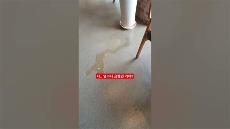 카페에서 오줌을 싸면 어떡하니 Youtube