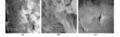Sem Photos Of Mesoporous Molecular Sieve Type Sba 15 With Different Download Scientific Diagram