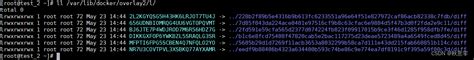 【探索 Kubernetes容器基础进阶篇 系列 3】容器进程的文件系统容器的文件系统 Csdn博客