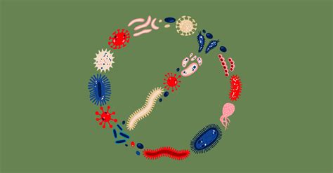 Busting The Common Myths About Sexually Transmitted Infections Stis