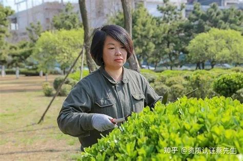 高级城市环卫管理师职业技能等级证书报名申办 知乎
