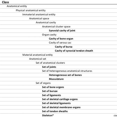 Fma Superclasses Of Interest In Bold Download Scientific Diagram