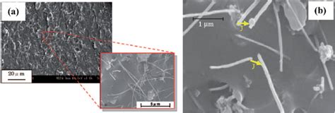 The Microstructural Sem Photograph Of Mwcntepoxy Nanocomposite Sensor Download Scientific