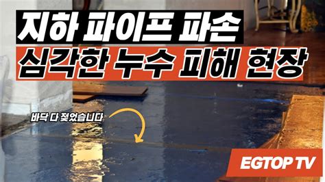 지하 파이프 파손으로 인한 워터 데미지 집 보험으로 고칠 수 있습니다 Youtube