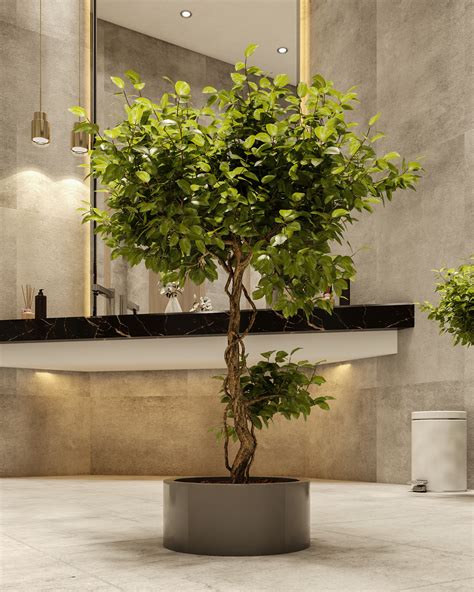 Depth Of Field DOF On Behance