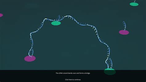 Bioinformatics An Introduction Labster Virtual Labs