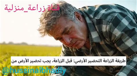 زراعة الشلغم تقرير مفصل عن زراعة الشلغم Youtube