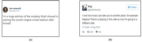 Electronics Free Full Text Sarcasm Detection Over Social Media Platforms Using Hybrid Auto