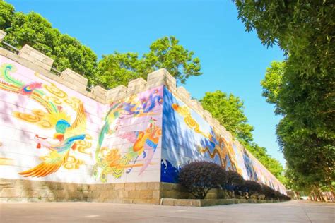 这样的广西城市职业大学，你期待吗？ 知乎