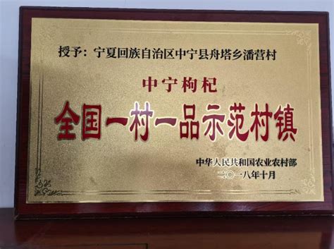 小红果绘就大未来宁夏枸杞企业探访 新华网客户端